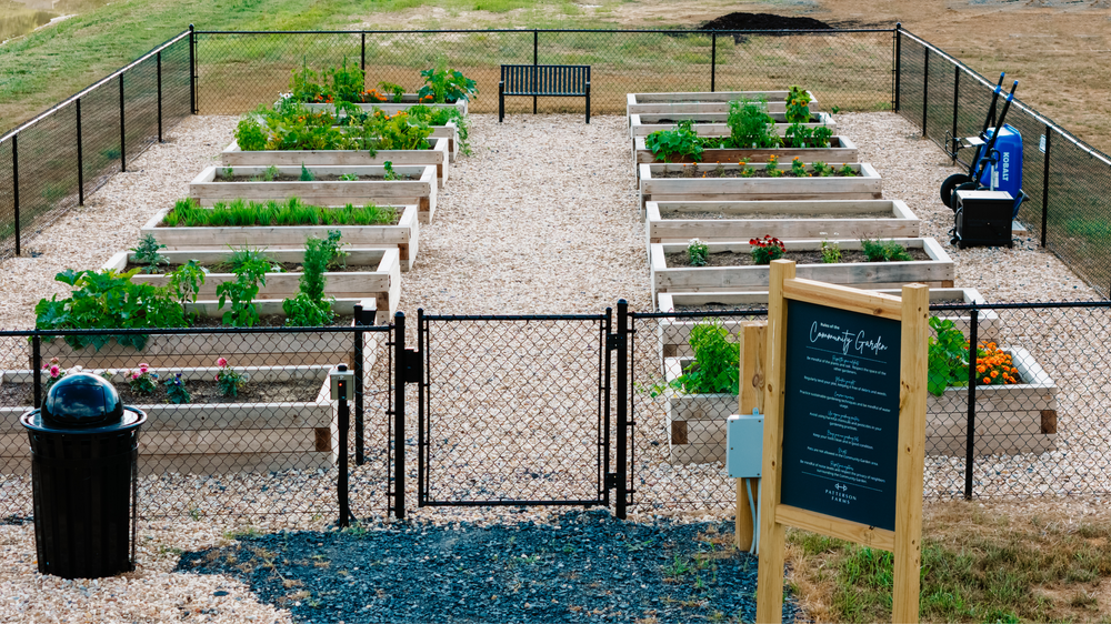 Ameneties - Patterson Farms