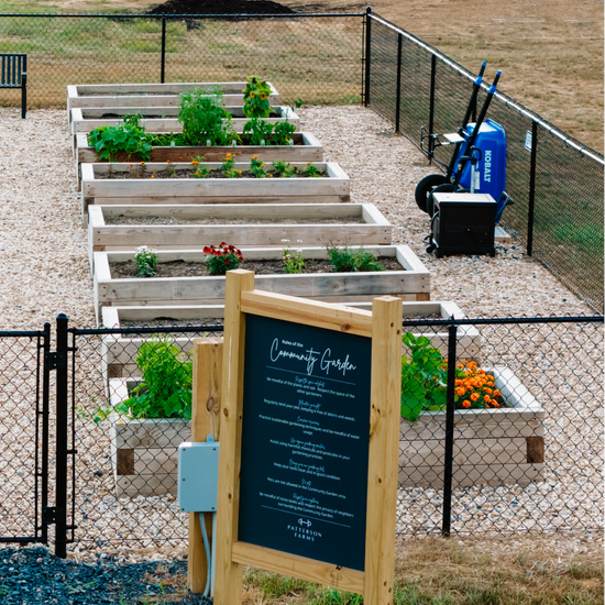 Live Here - Patterson Farms