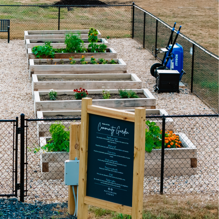 Live Here - Patterson Farms